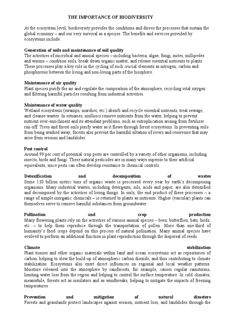 The Importance of Biodiversity | PDF | Ecosystem | Wetland