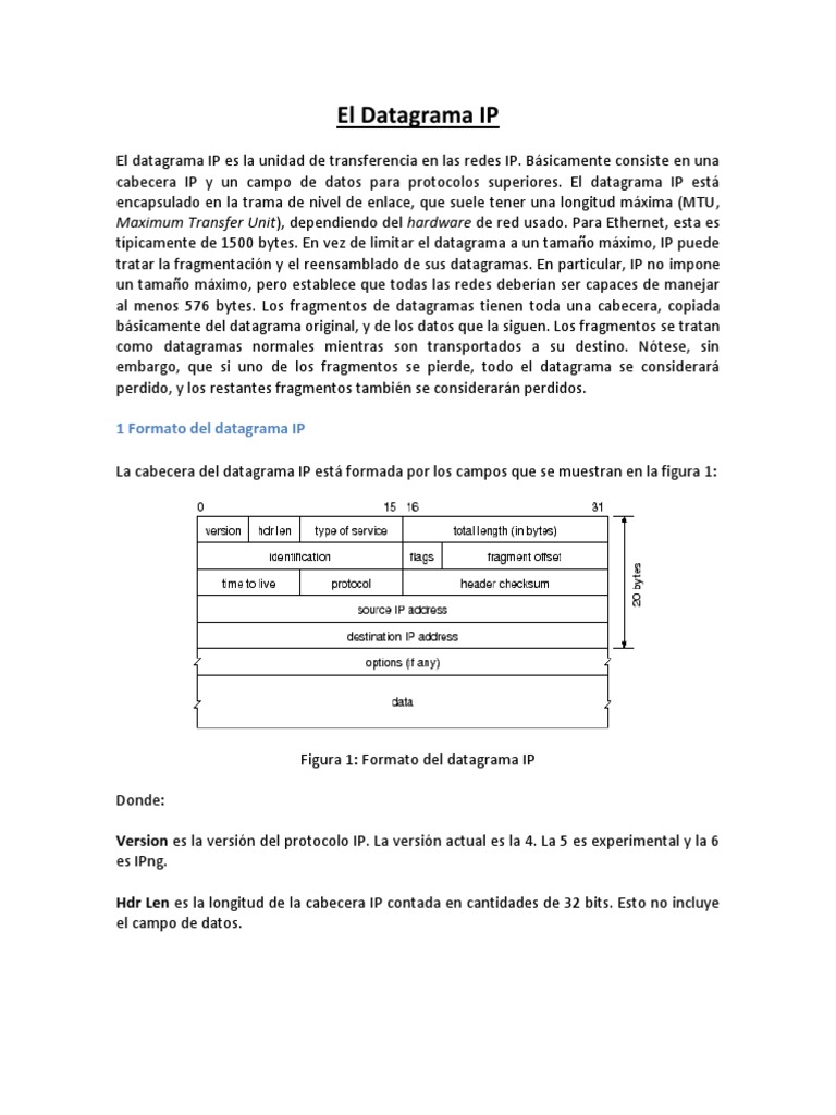 El Datagrama IP | PDF | Protocolos de internet | Enrutador (Computación)