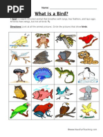 Pre Primary Science | PDF