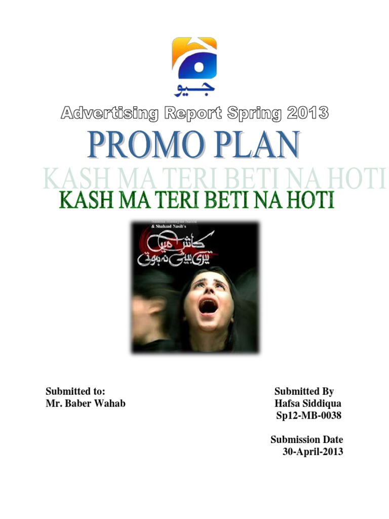 Promo Plan | Download Free PDF | Promotion (Marketing) | Target Audience