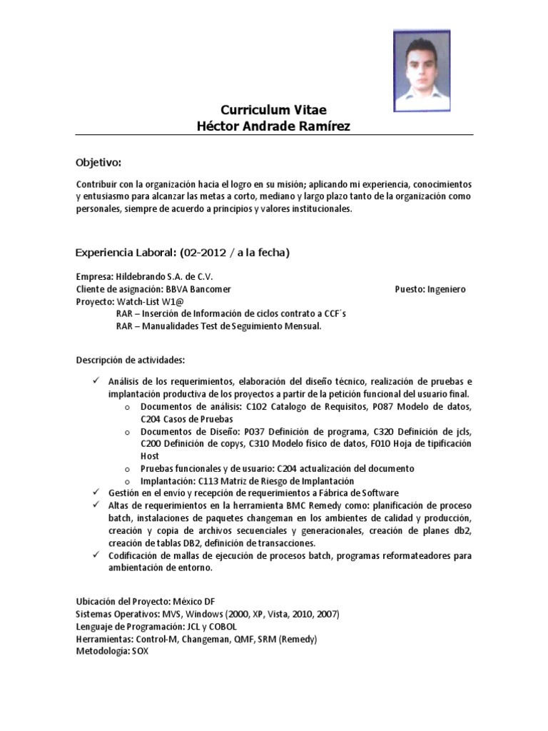 CV Héctor Andrade Ramírez | PDF | Software | Informática