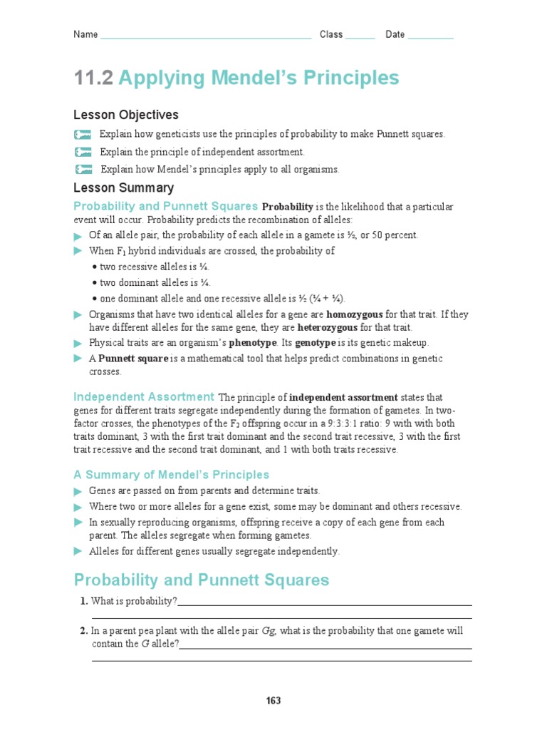 Applying Mendel's Principles: Lesson Objectives | PDF | Dominance ...