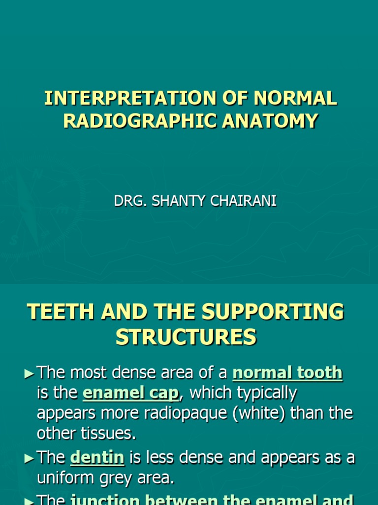 Normal Radiographic | PDF | Dental Anatomy | Human Tooth
