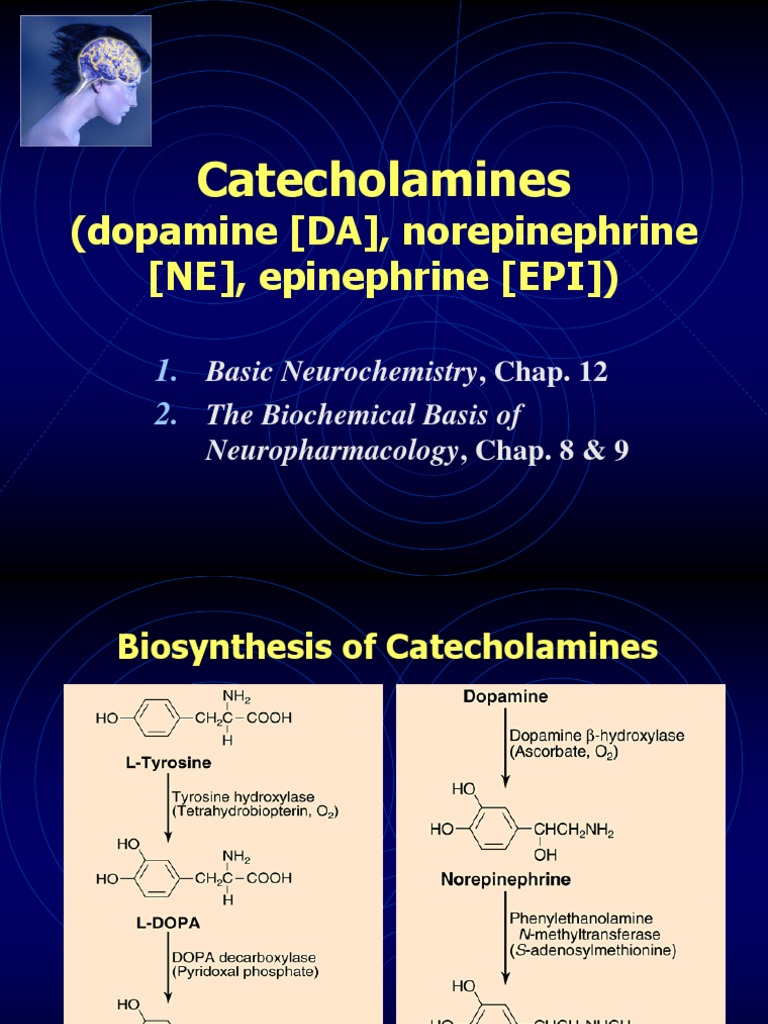 Catecholamines | Dopamine | Norepinephrine