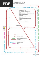 Pony Club C Test | PDF | Horse Gait | Horses