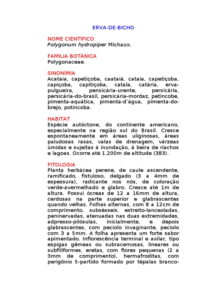 Erva-de-Bicho - Polygonum Hydropiper Michaux. - Ervas Medicinais ...