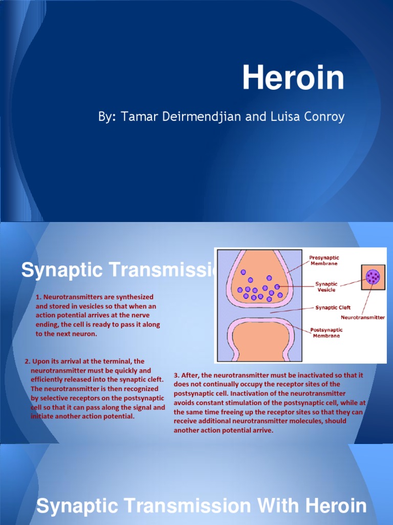 Heroin | PDF | Neurotransmitter | Chemical Synapse