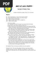 Dunbar Dog Bite Severity Scale | PDF | Dogs | Wound