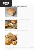 El Pan en La Historia | Panes | Trigo