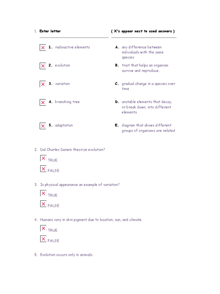 Evo Quiz For Sci | PDF