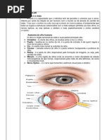 Acinetopsia | PDF | Enxaqueca | Percepção visual