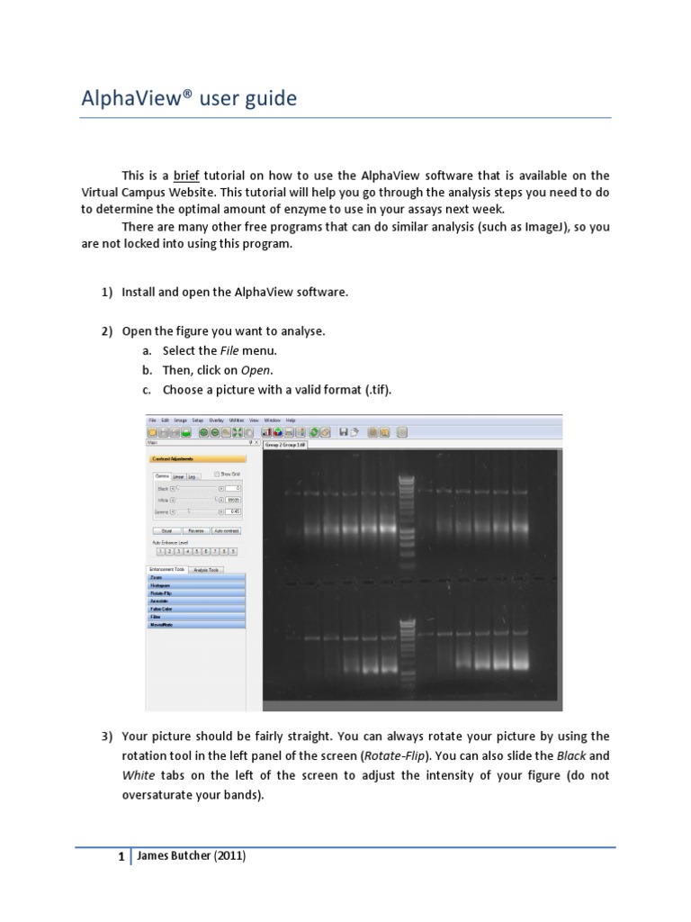 Alphaview User Guide | PDF | Enzyme | Gel Electrophoresis