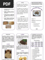 Triptico Queque Zanahoria | PDF | Cocina occidental | Comida regional y étnica