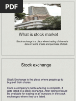 Stock Exchange Project (Class 12) | PDF