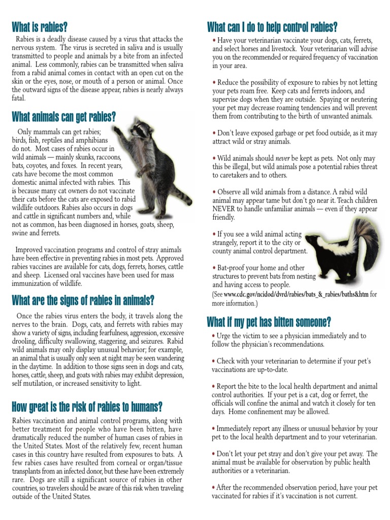 Rabies Brochure | Rabies | Health Sciences | Free 30-day Trial | Scribd