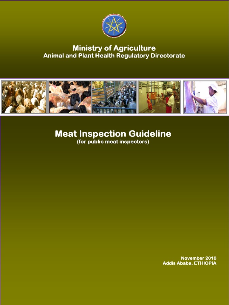 Meat Inspection Guideline | PDF | Inflammation | Liver