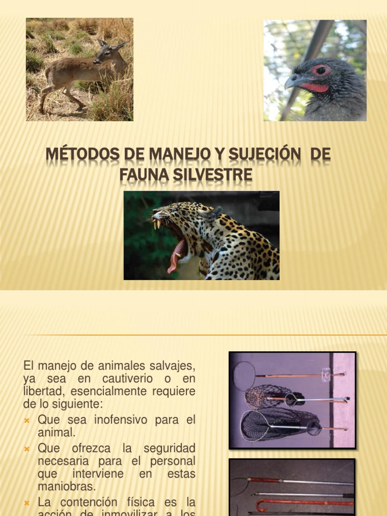 Manejo de Fauna Silvestre | PDF