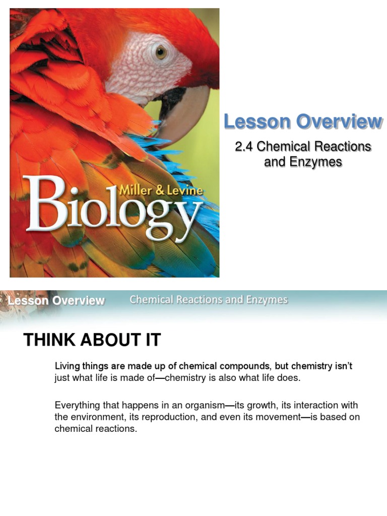 Chemical Reactions & Enzymes Guide | PDF | Chemical Reactions | Enzyme