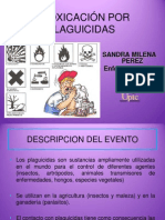 Toxicocinética y Toxicodinamia en Farmacia | PDF | Toxicidad | Excreción