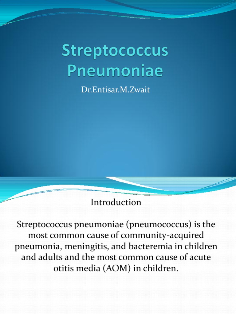 Streptococcus Pneumoniae | PDF | Clinical Pathology | Medicine