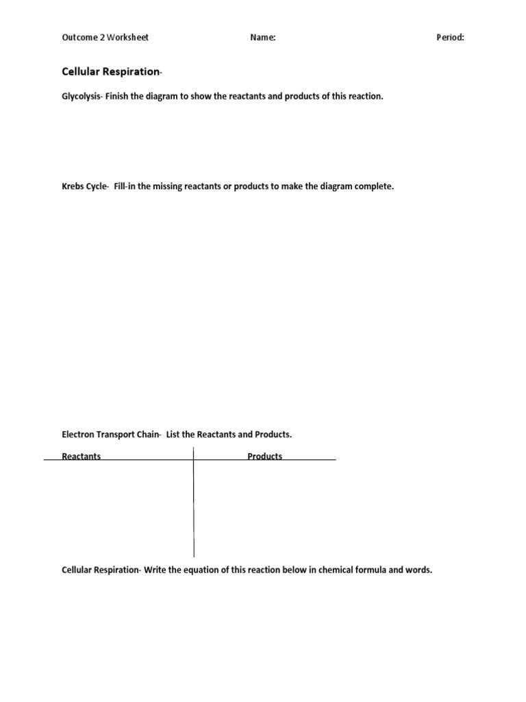 Respiration and Cell Cycle Worksheet | PDF