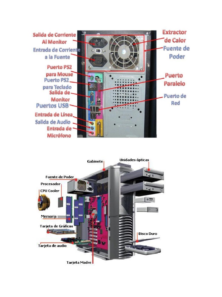 Partes Internas Del Cpu | PDF | Disco flexible | Dispositivo de ...