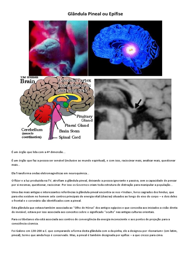 Glândula Pineal Ou Epífise | PDF | Espírito | Humano