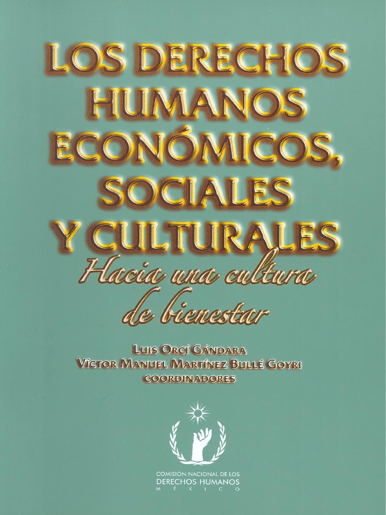Derechos Sociales y Culturales | PDF