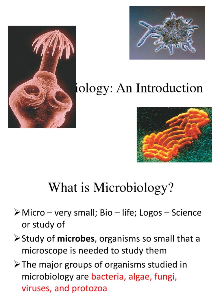 Introduction to Microbiology Basics | PDF