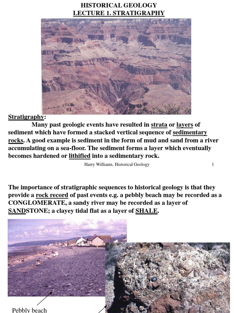 Historical Geology Slides | PDF | Sedimentary Rock | Geology