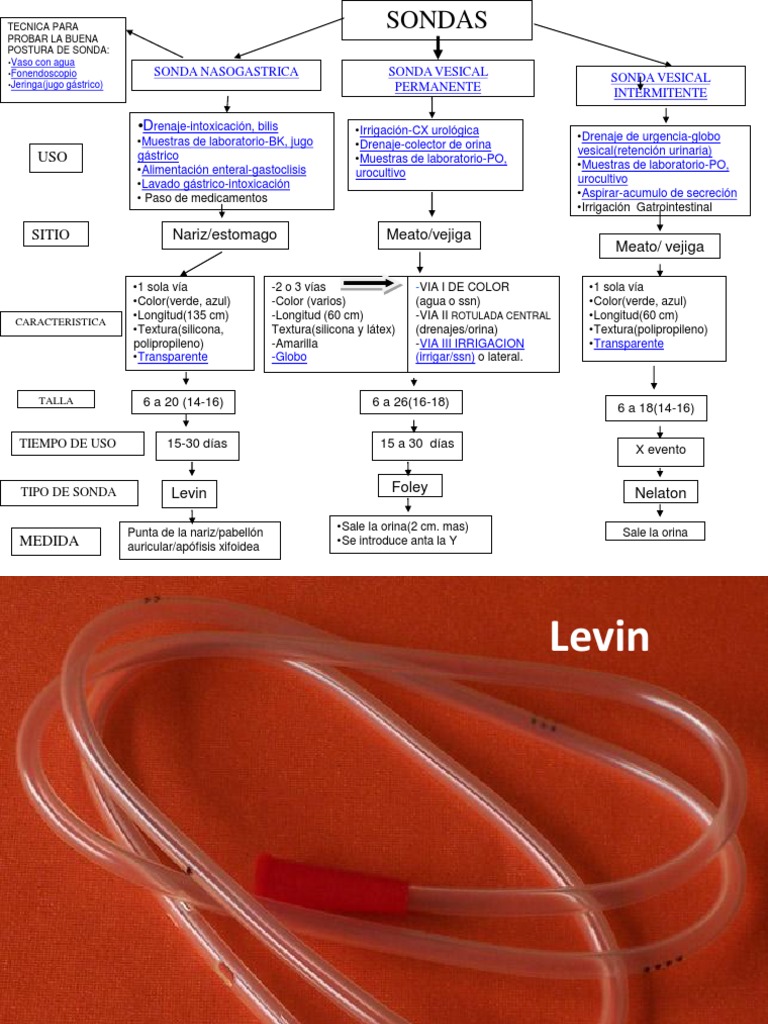 Tipos Sondas Esquema Pdf Urología Medicina Clinica