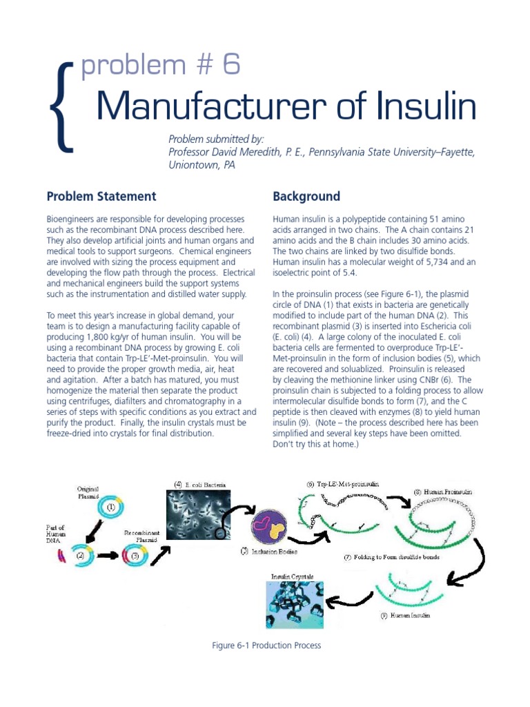 Healthcare Insulin Problem | PDF | Ion Exchange | Density