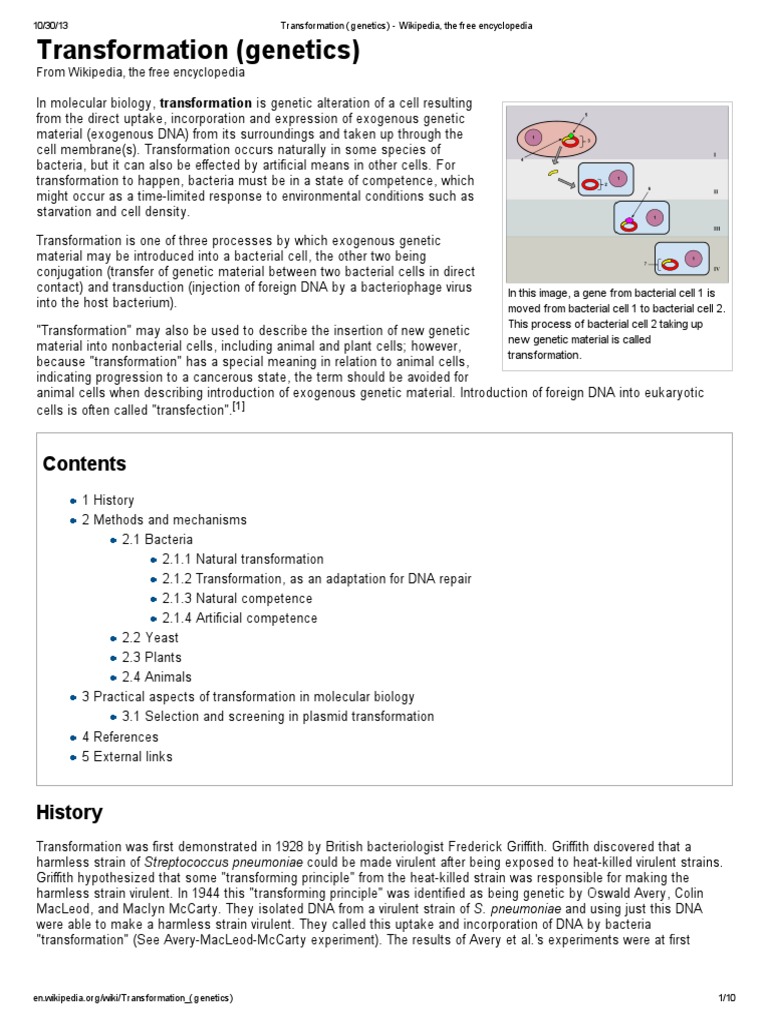 Transformation (Genetics) - Wikipedia, The Free EncycloTransformation ...