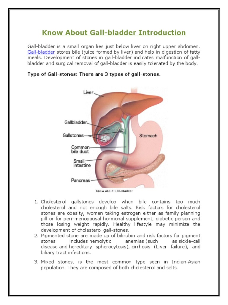 Know About Gall Bladder Introduction | PDF | Gallbladder | Bile