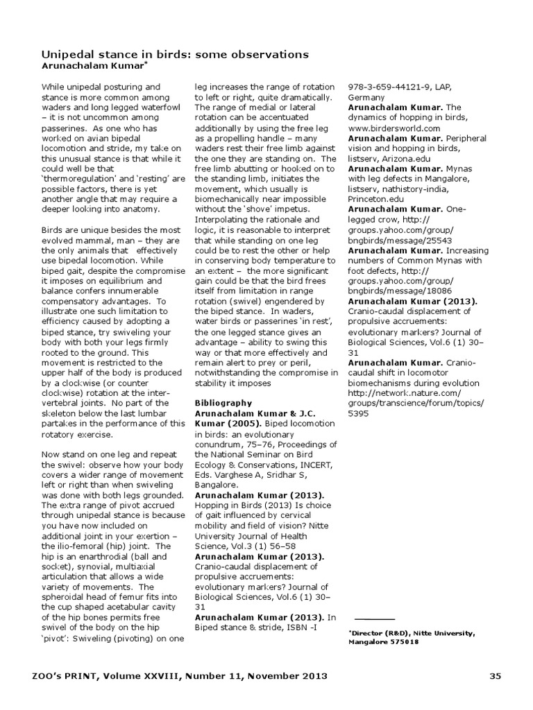 Unipedal Stance in Birds: Some Observations | PDF | Bipedalism ...