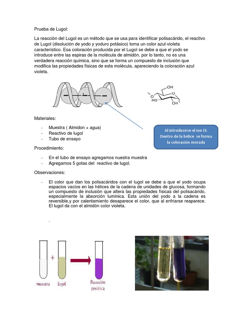Prueba de Lugol con Almidón | PDF | Almidón | Yodo