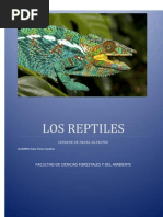Triptico Los Reptiles | PDF | Reptil | Zoología