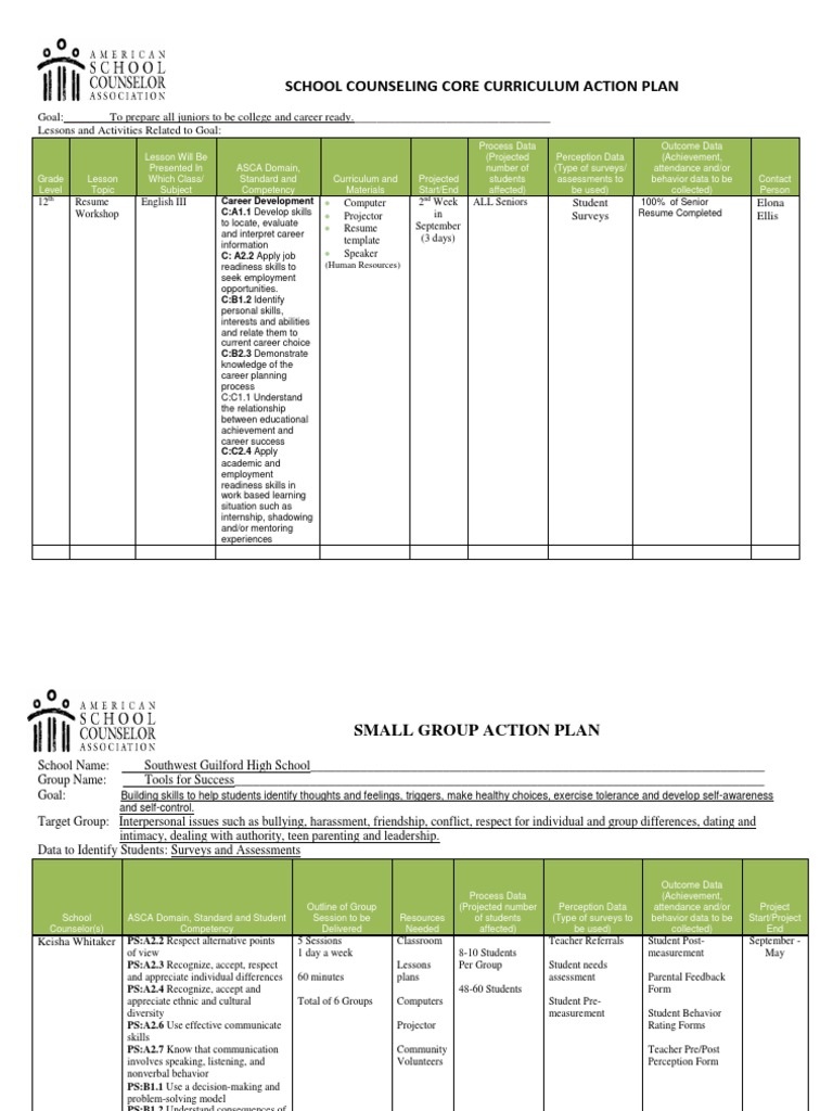 School Counseling Action Plan Overview | PDF | School Counselor ...