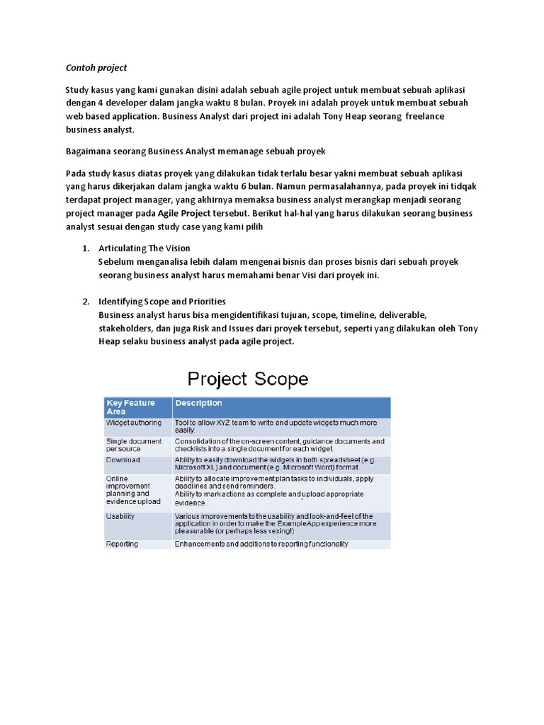 Contoh Project Business Analyst | PDF