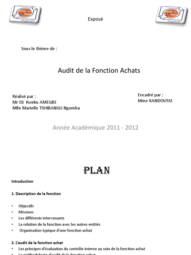 Audit Achat | PDF | Audit | Comptabilité