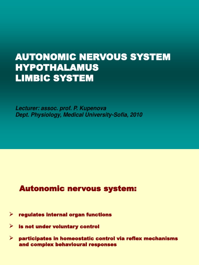 Autonomic Ner Sys Hypothalamus Limbic MedEng 1010 | PDF | Autonomic ...