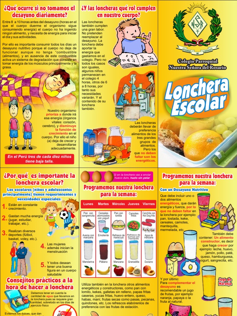 Triptico Lonchera Escolar | PDF | Alimentos | Comida y bebida
