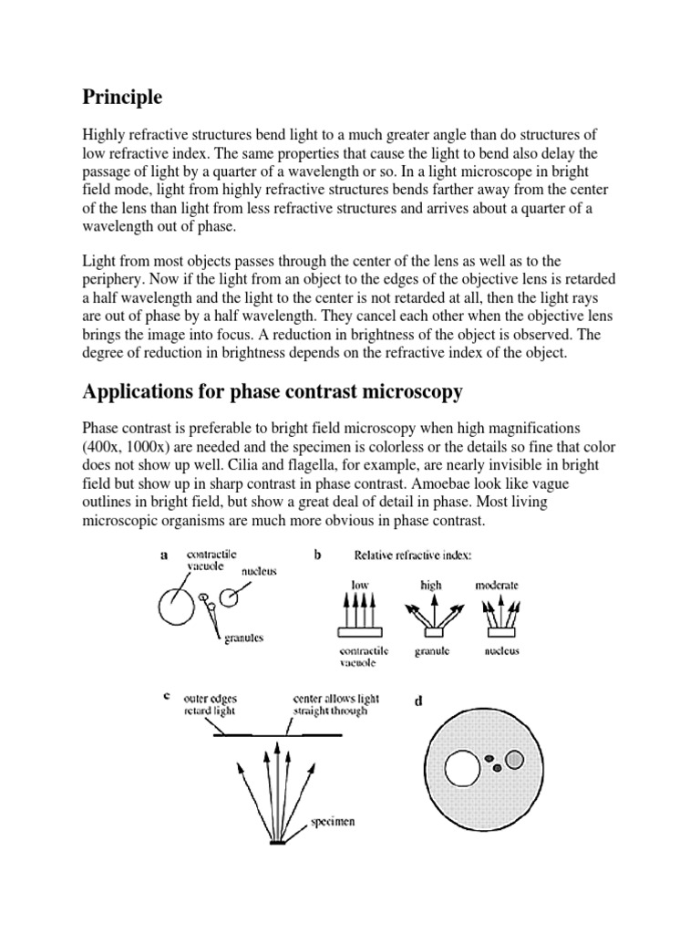 Phase Contrast Micros | PDF | Microscopy | Optics