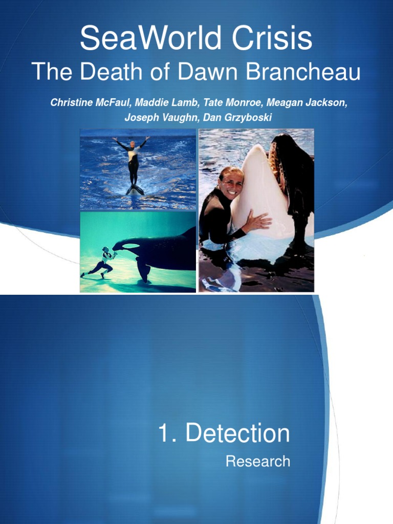 Seaworld Crisis Powerpoint | PDF | Sea World