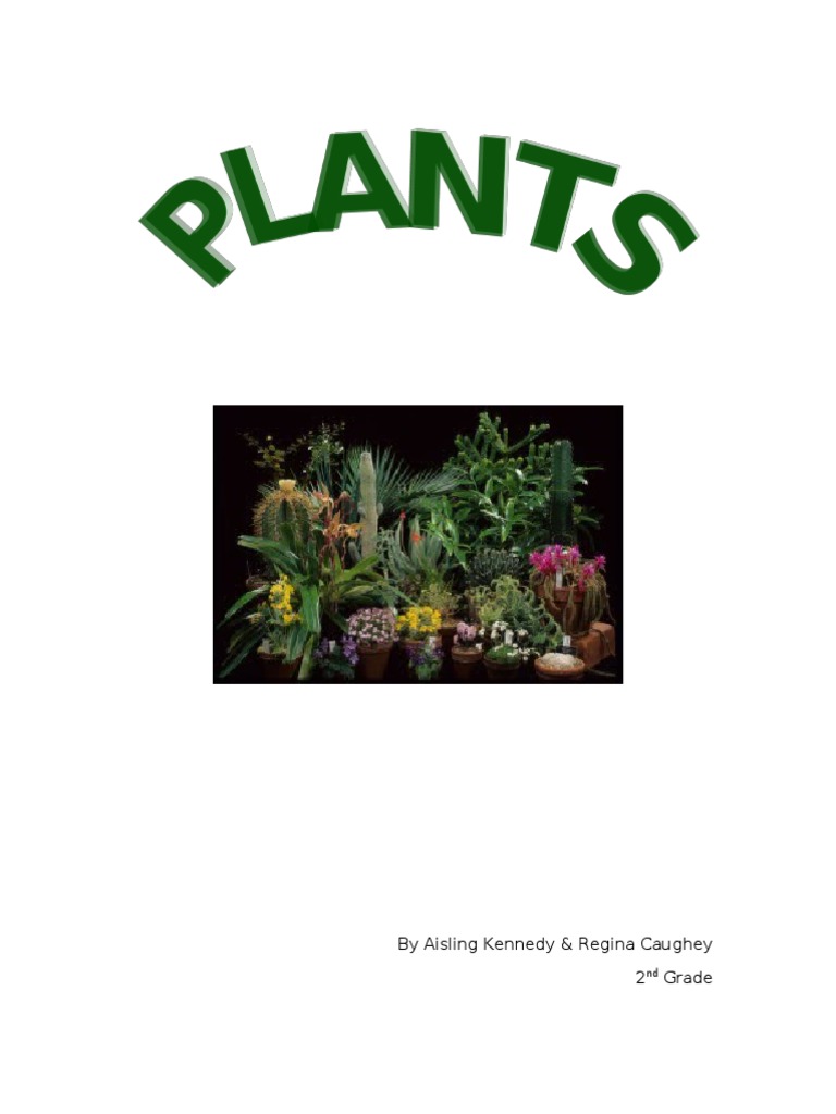 Science Unit - Plants | PDF | Pigment | Plants