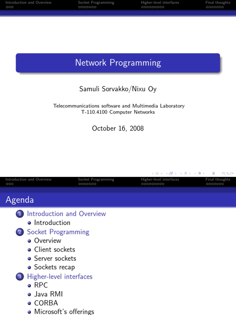 Network Programming | PDF | Network Socket | Web Service
