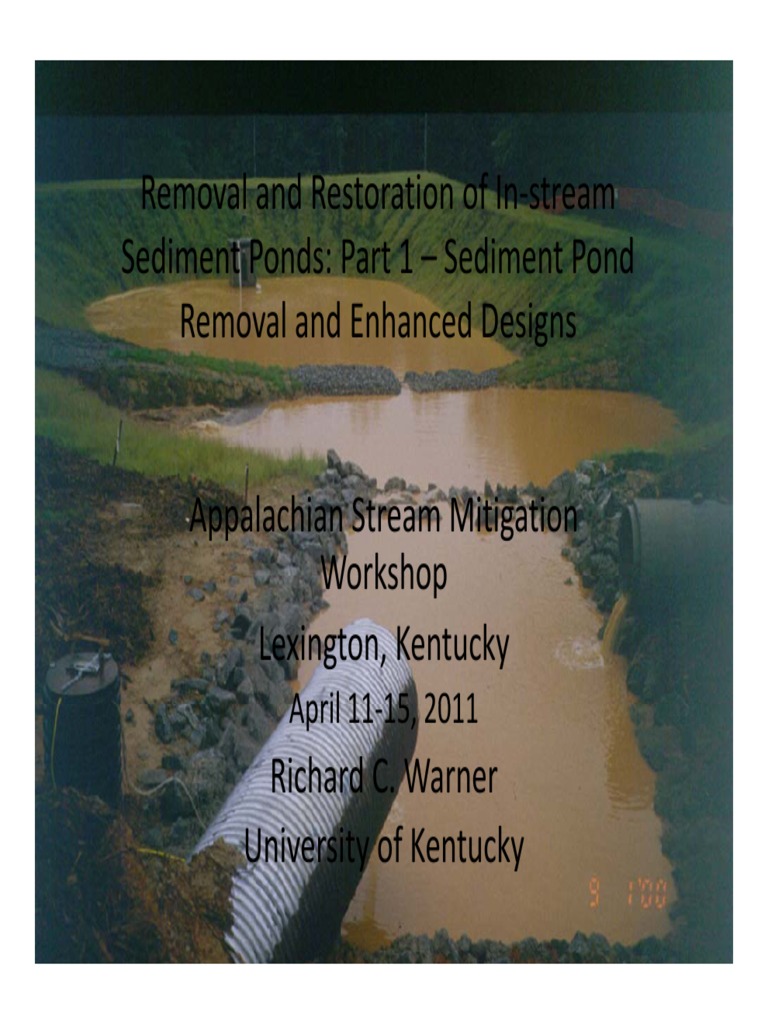 Sediment Pond Removal Strategies | PDF