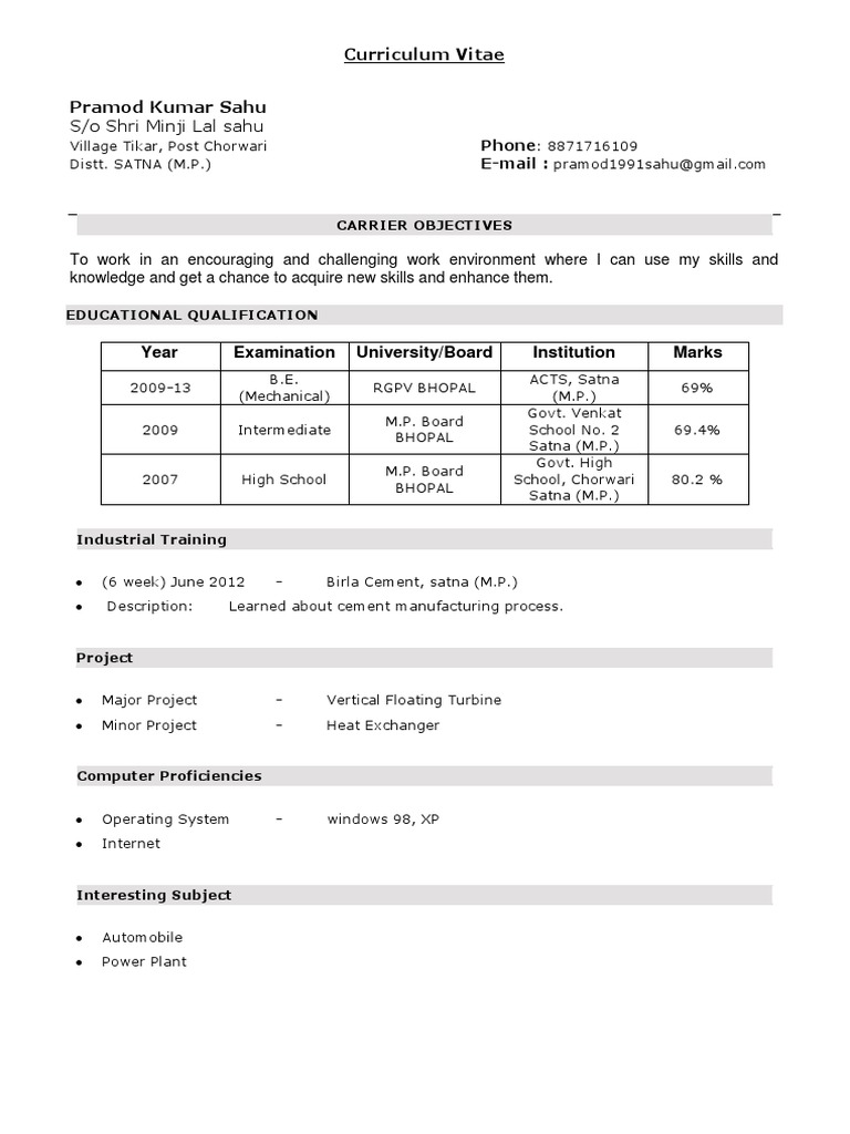 S/o Shri Minji Lal Sahu: Curriculum Vitae Pramod Kumar Sahu | PDF ...