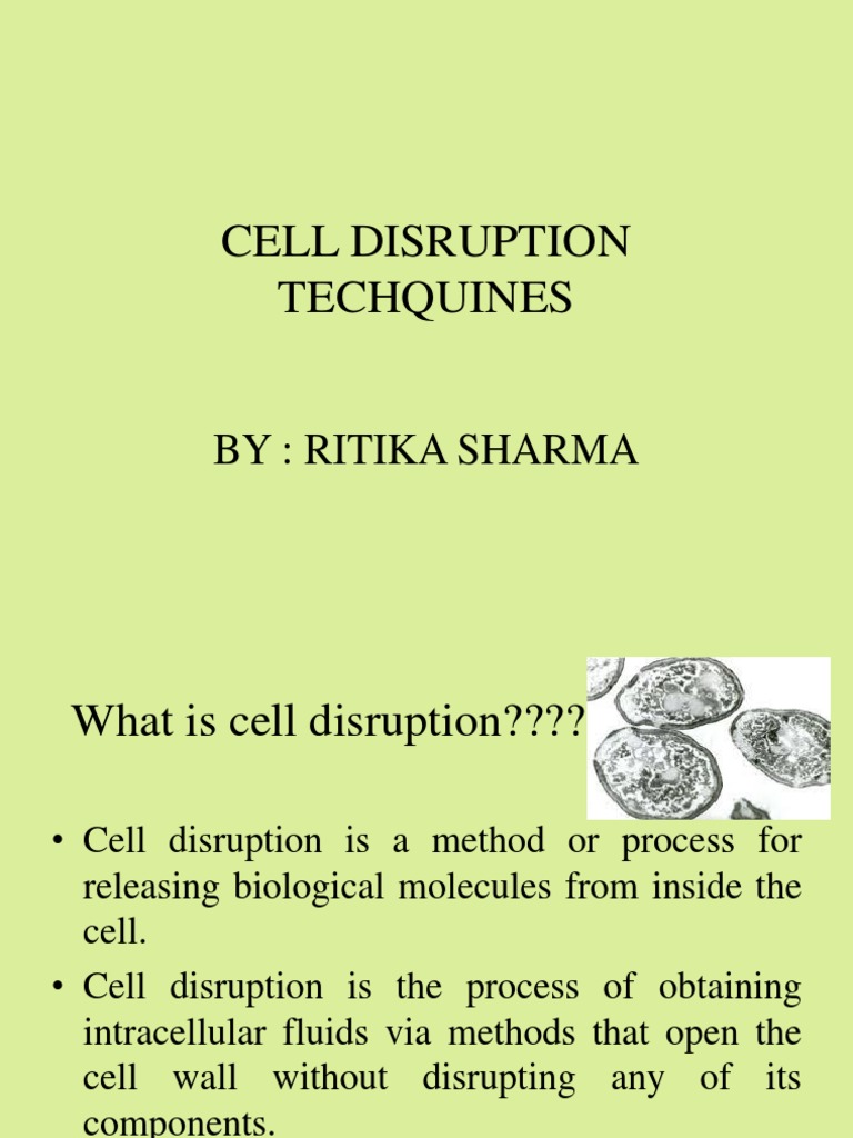 Cell Disruption | Shock Wave | Cell (Biology)