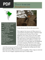 Keel Billed Toucan | PDF | Birds | Ornithology